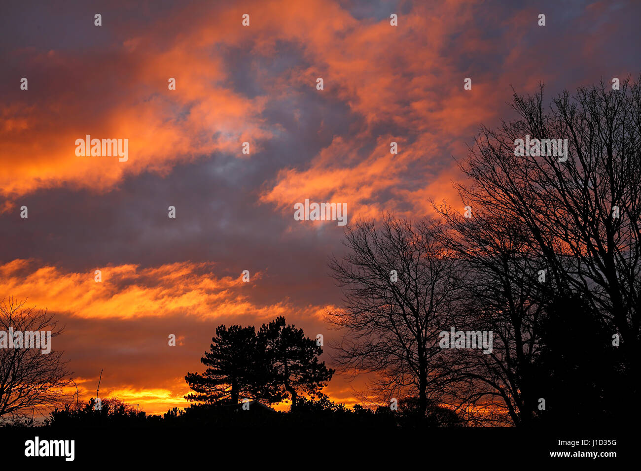 Willaston hi-res stock photography and images - Alamy