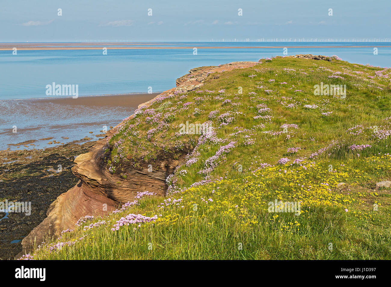 Trefoil island hi-res stock photography and images - Alamy