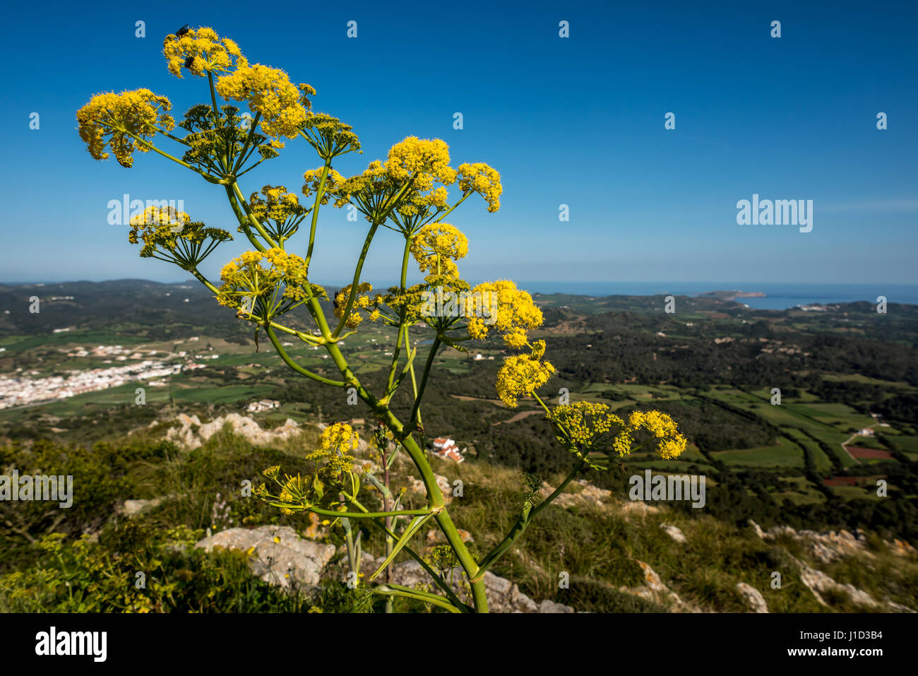 A view from the top of Monte Toro in menorca Stock Photo - Alamy