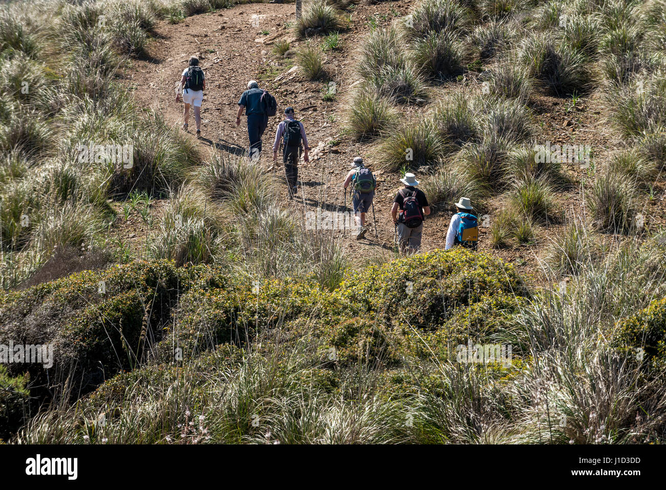 Walkers on the coastal path of Menorca Stock Photo - Alamy