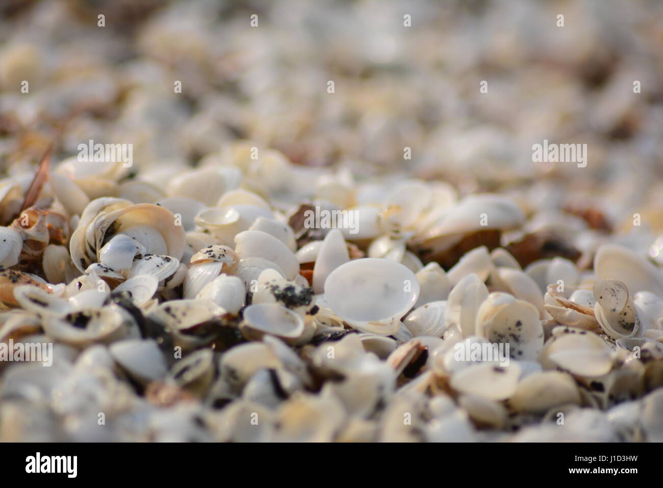 Hidden treasure hi-res stock photography and images - Alamy