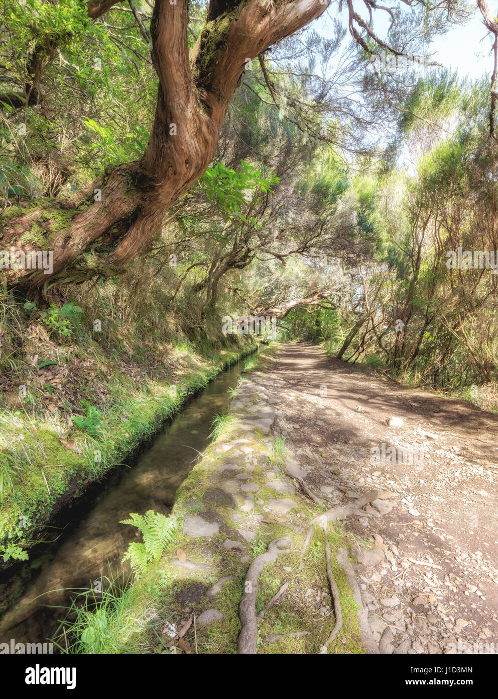 Levada tunnel hi-res stock photography and images - Alamy