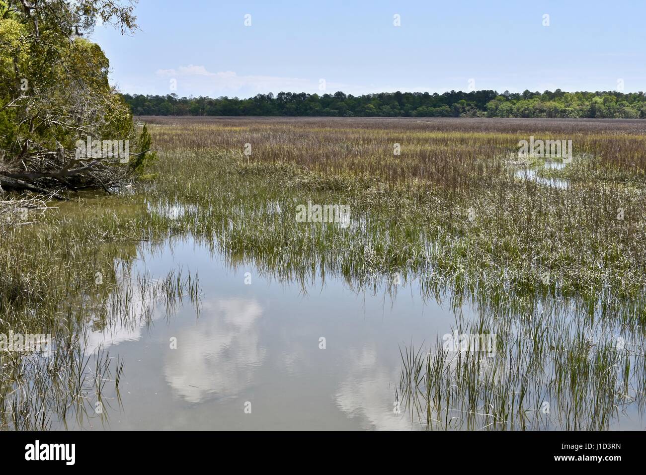 Marsh and river view at the back of the Wormsloe plantation in Savannah ...