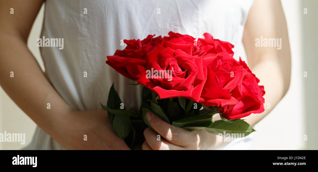 red rose background Stock Photo - Alamy