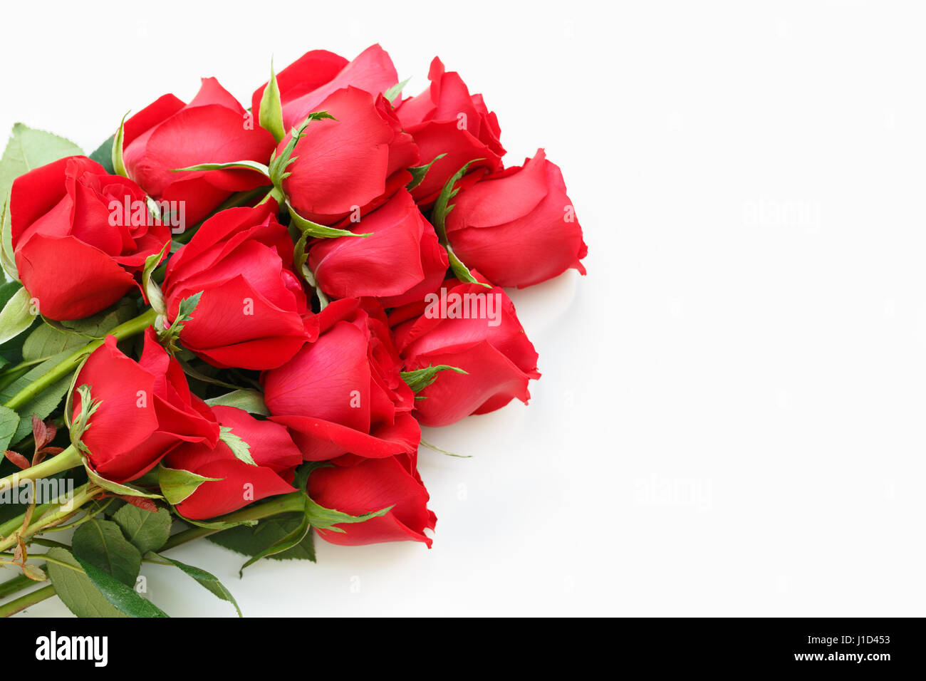 red rose background Stock Photo - Alamy