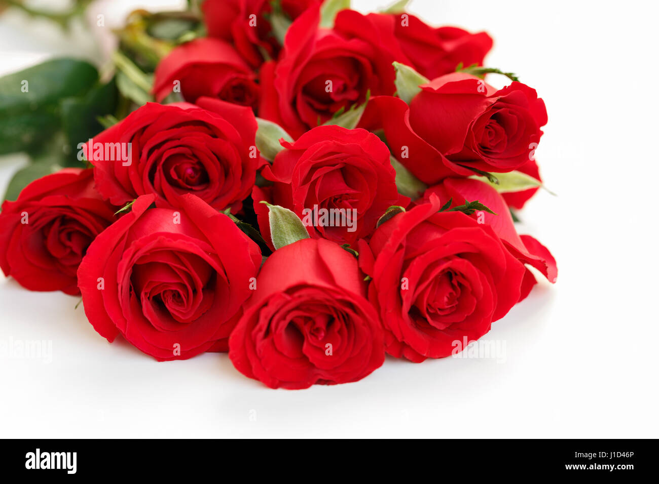 red rose background Stock Photo - Alamy