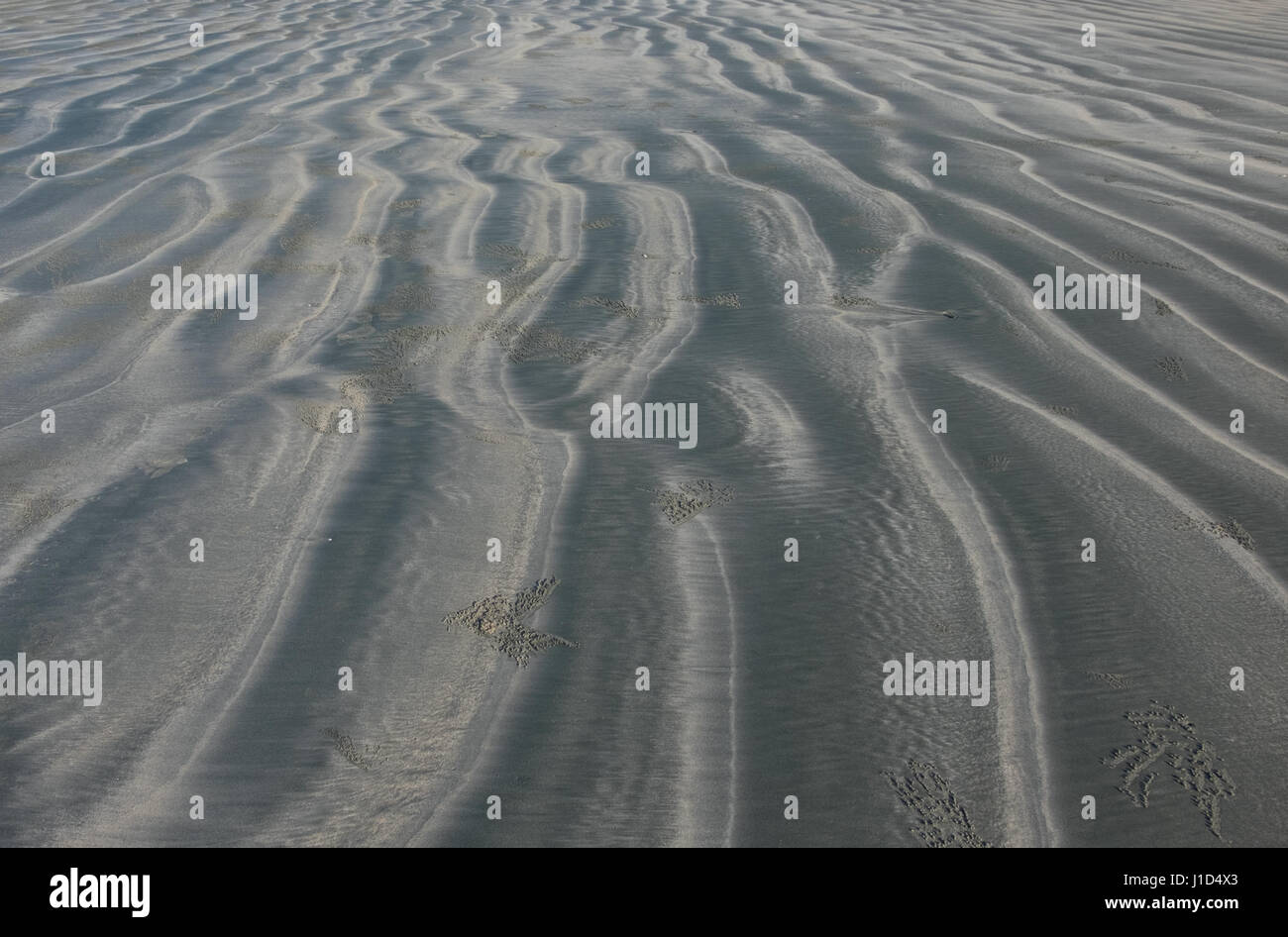 Sand texture on the beach of the warm sea Stock Photo - Alamy