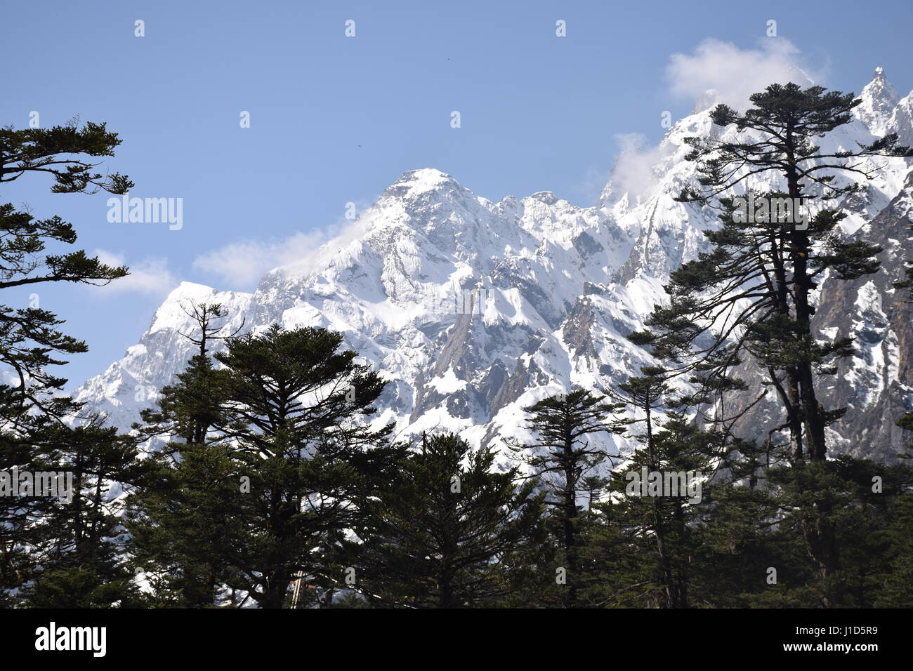 Yumthang valley hi-res stock photography and images - Alamy