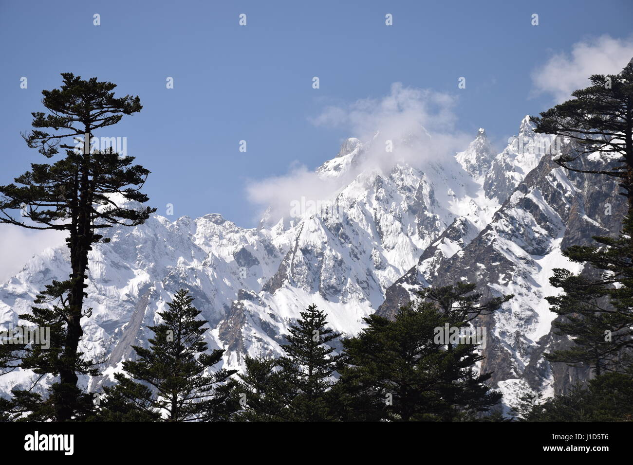 Yumthang valley hi-res stock photography and images - Alamy
