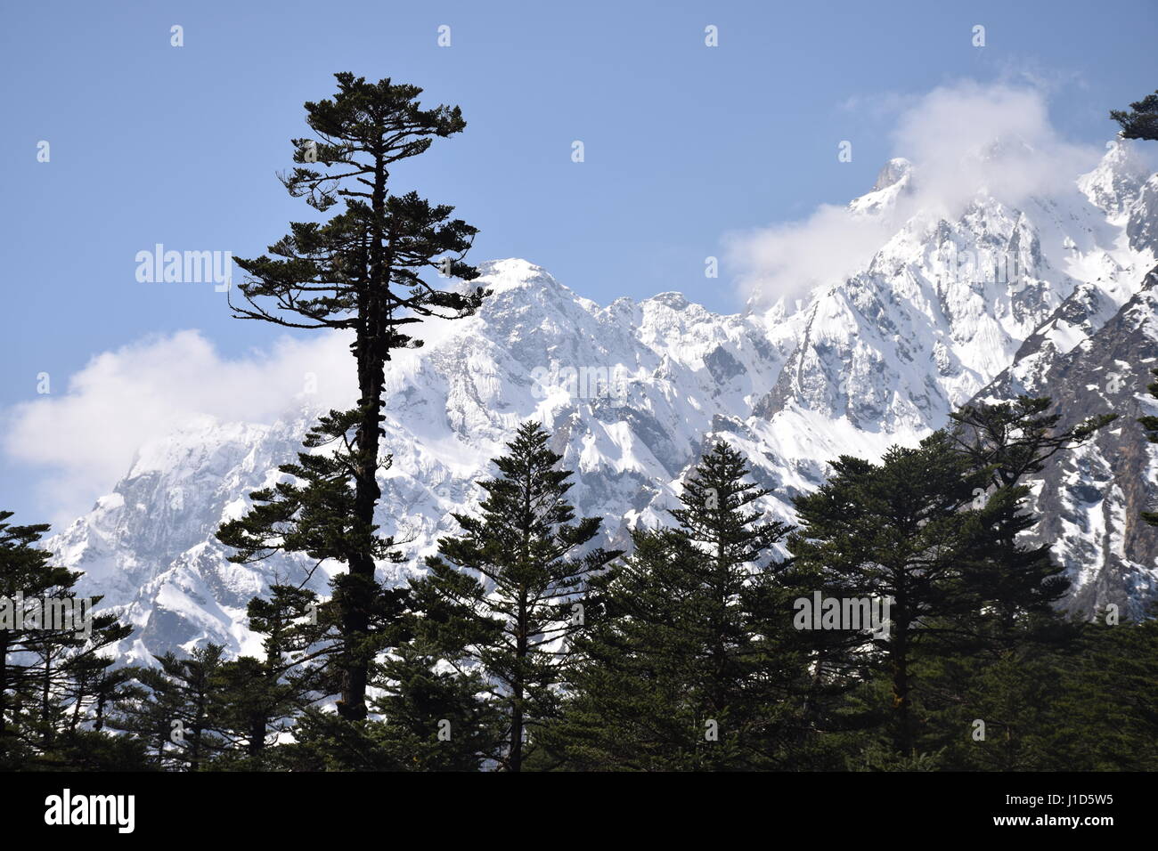 Yumthang valley hi-res stock photography and images - Alamy