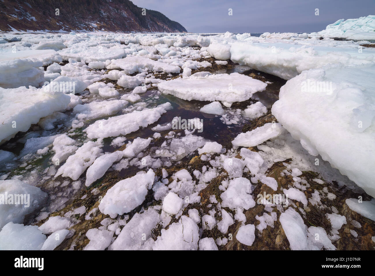 Ice hummocks on the seashore in the spring, Sakhalin Island, Russia ...