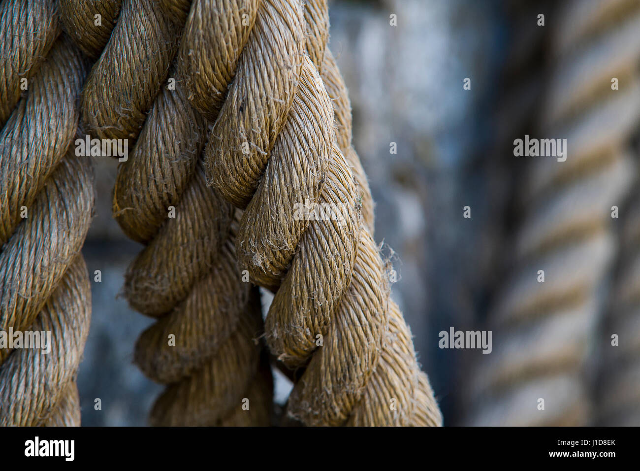 Collection of abstract rope pictures showing various ropes and ...