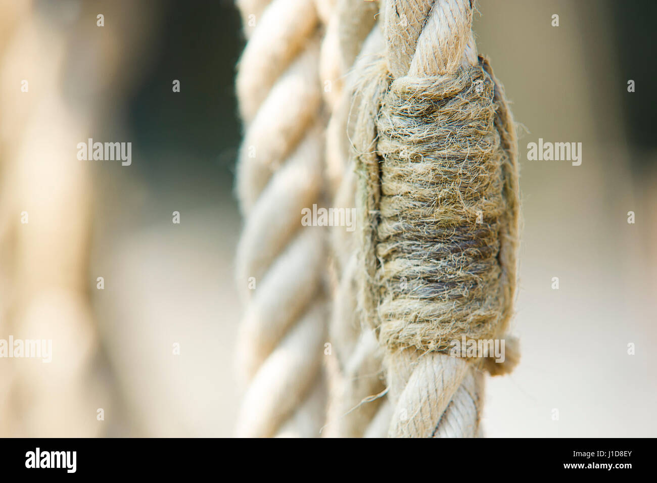 Collection of abstract rope pictures showing various ropes and ...