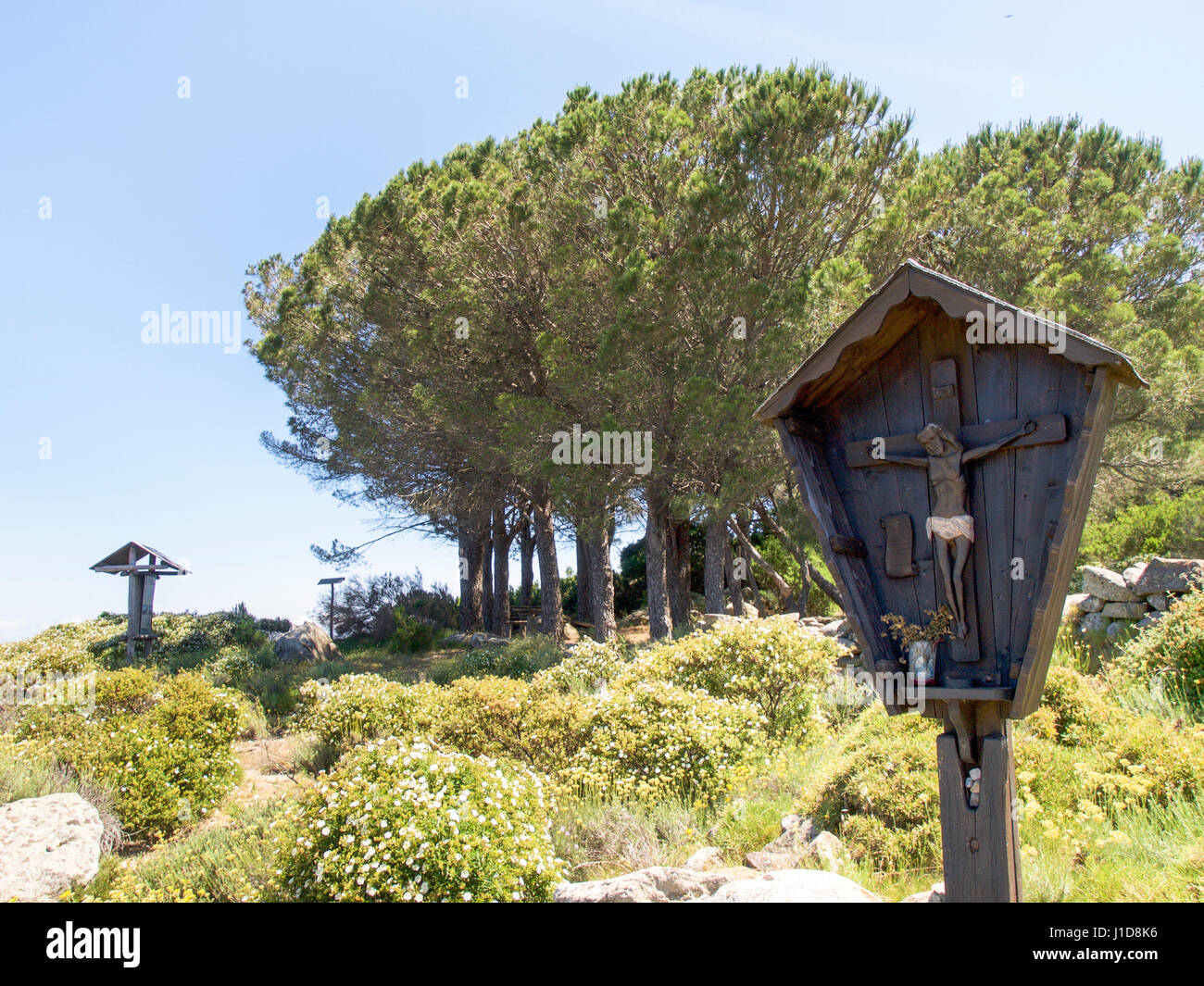 Elba, Italy: inland areas with Mediterranean vegetation and views of ...