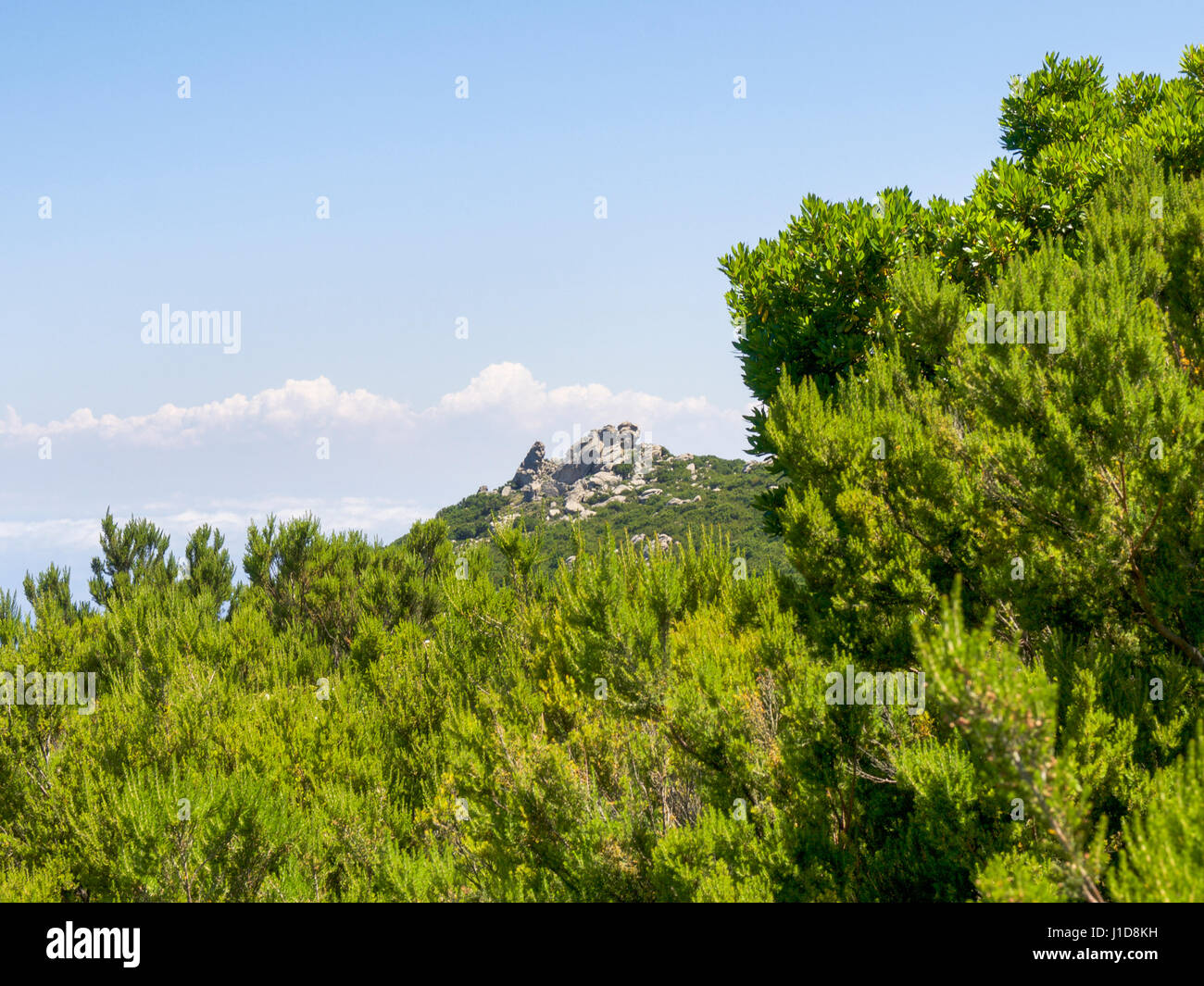 Elba, Italy: inland areas with Mediterranean vegetation and views of ...