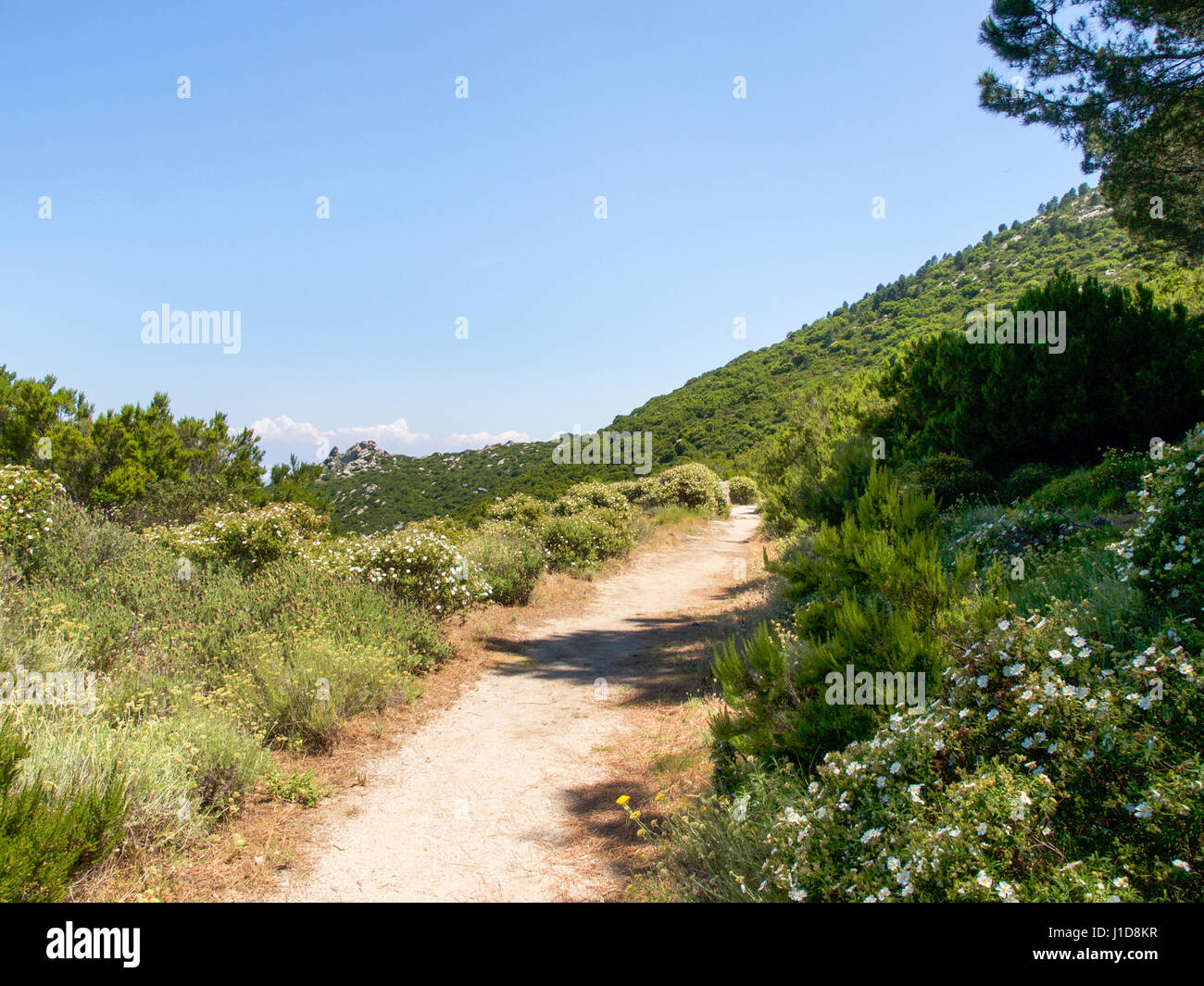 Elba, Italy: inland areas with Mediterranean vegetation and views of ...