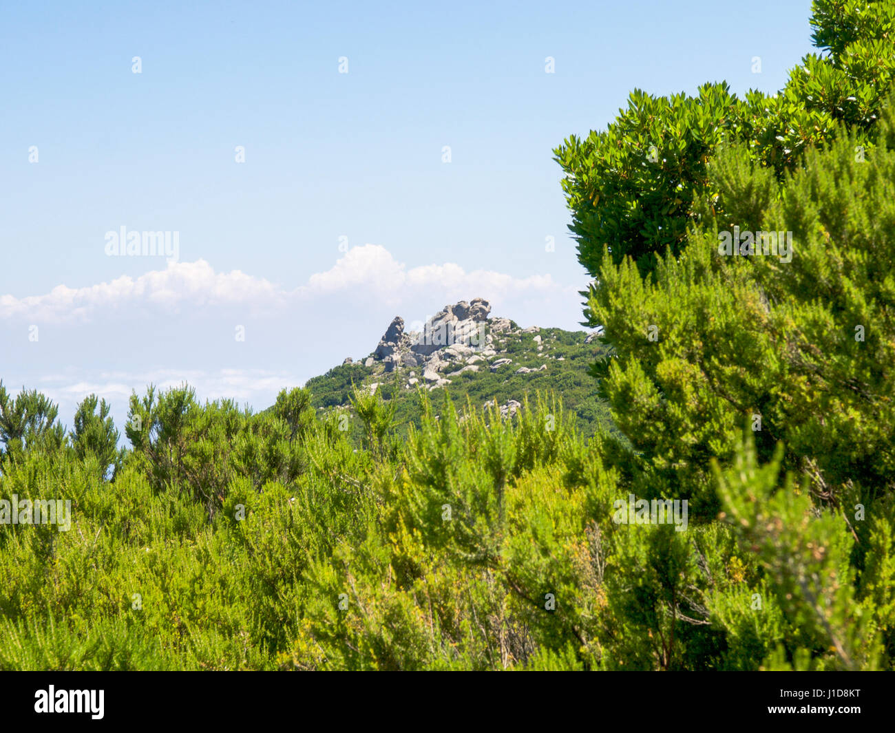 Elba, Italy: inland areas with Mediterranean vegetation and views of ...