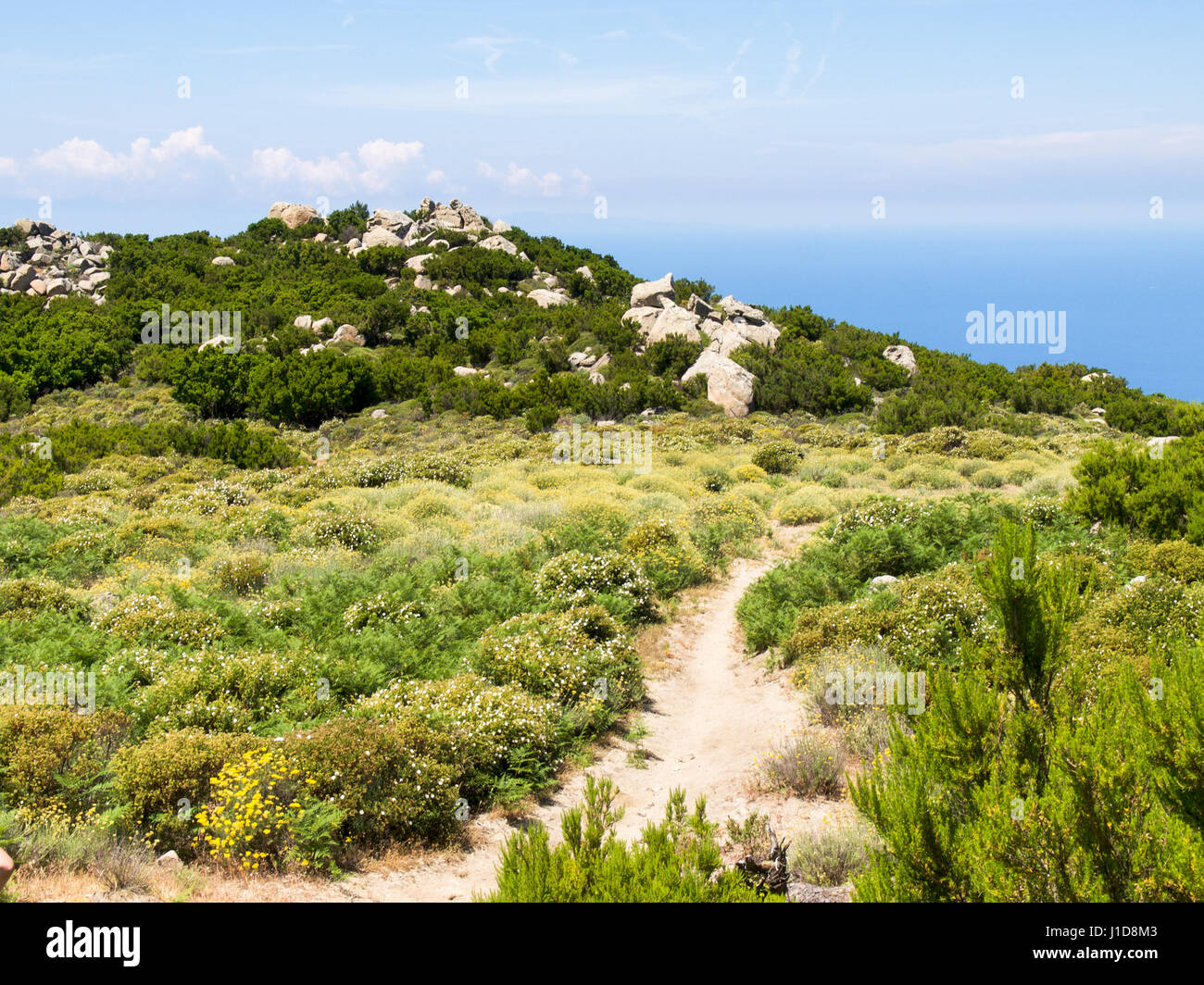 Elba, Italy: inland areas with Mediterranean vegetation and views of ...