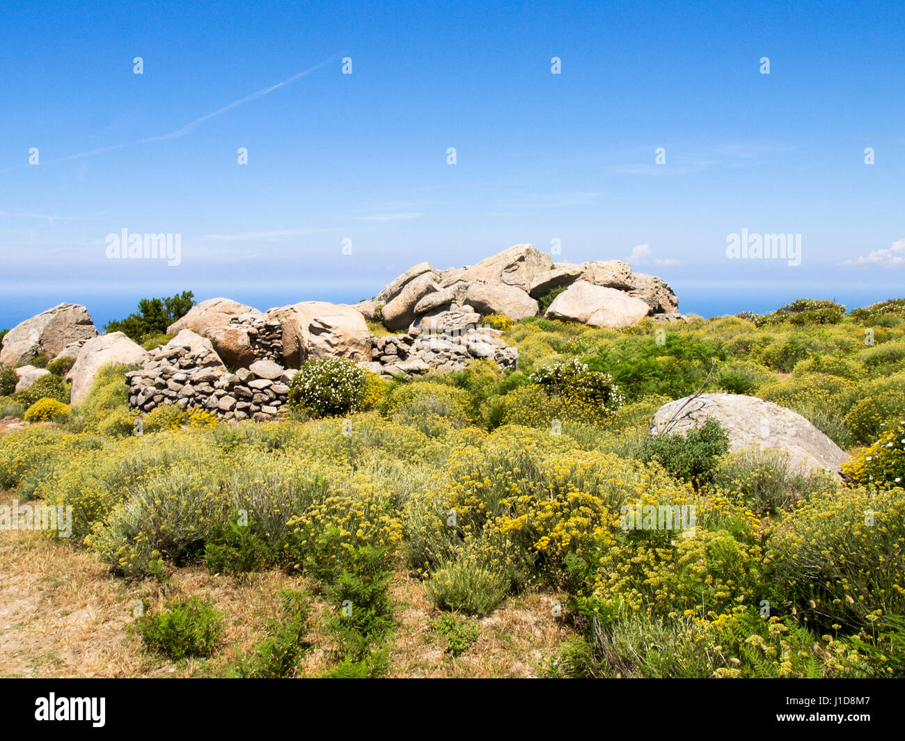 Elba, Italy: inland areas with Mediterranean vegetation and views of ...