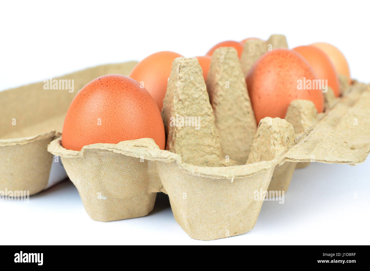 Close-up of an open box with chicken eggs on white background Stock ...