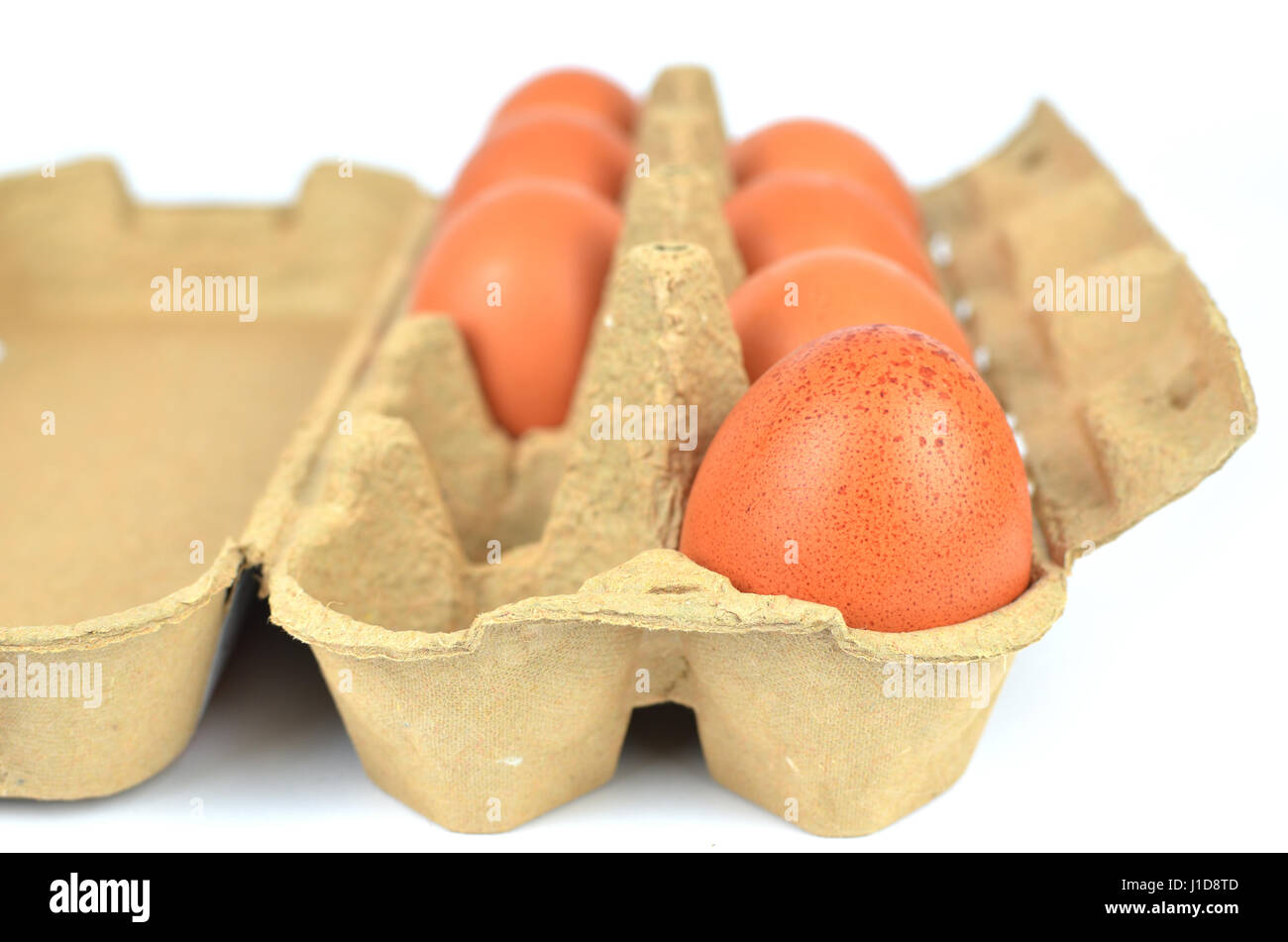 Close-up of an open box with chicken eggs on white background Stock ...