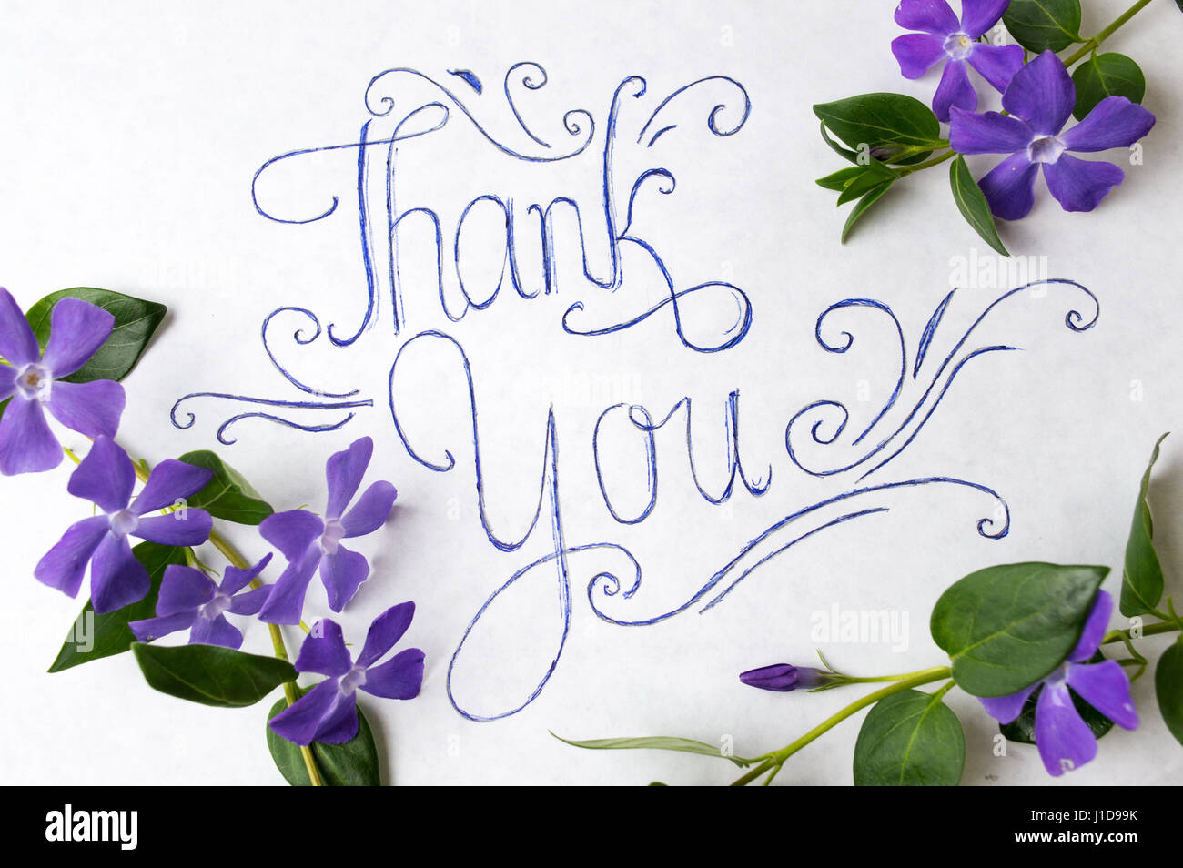 Thank you note surrounded by purple spring flowers Stock Photo - Alamy