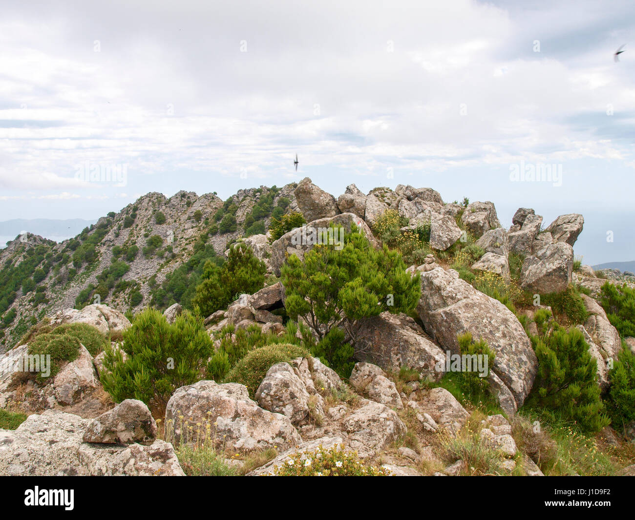 Elba, Italy : Monte Capanne. The highest peak of the island. The sea ...