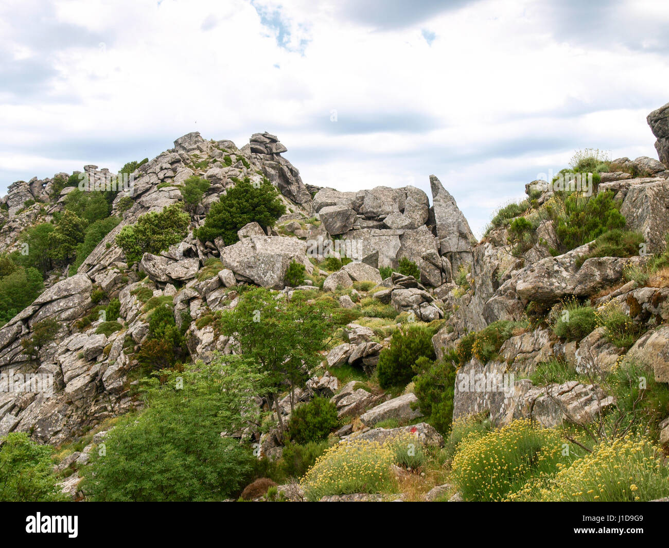Elba, Italy: Monte Capanne. The highest peak of the island. The sea ...