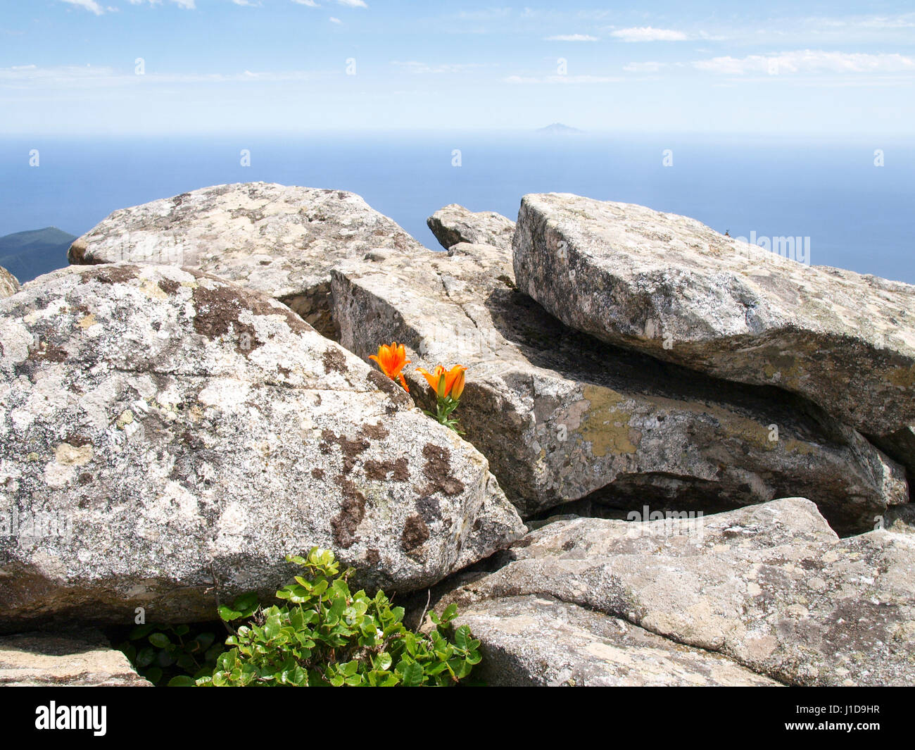 Capanne hi-res stock photography and images - Alamy