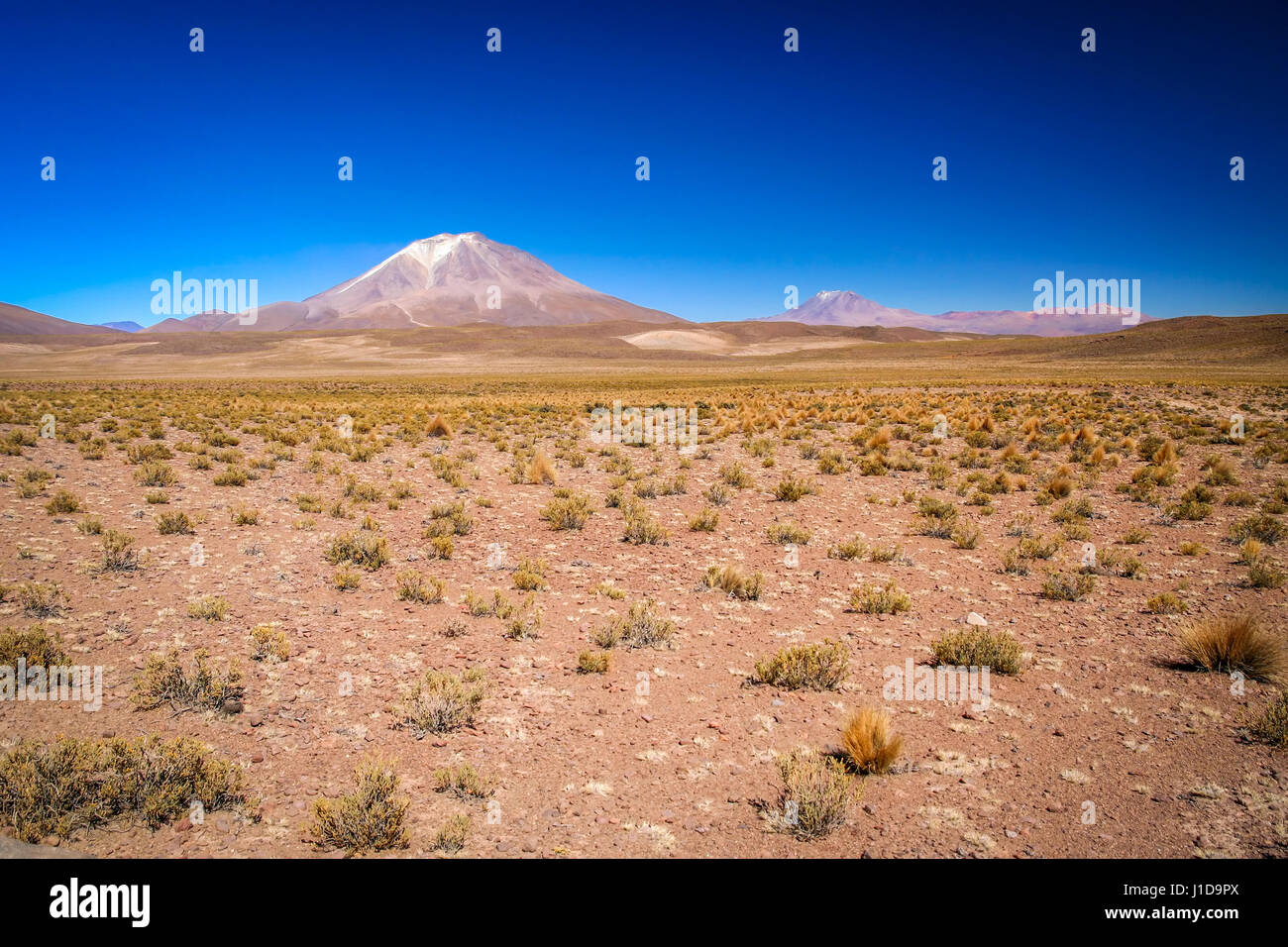 One of the many volcanoes in the southern part of bolivian Altiplano ...