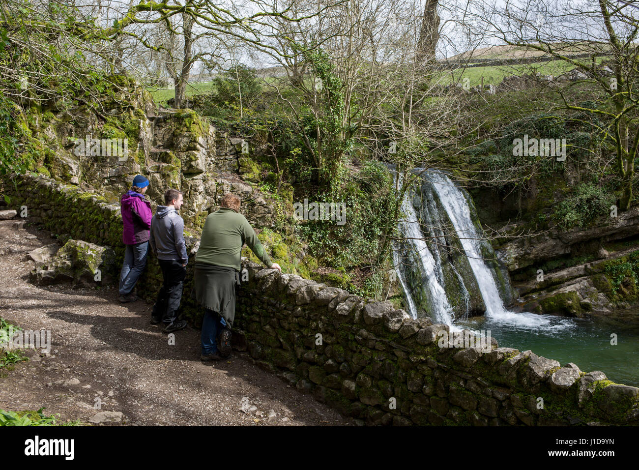 Walkers admire the Yorkshire Dales waterfall called Janet's Foss on ...