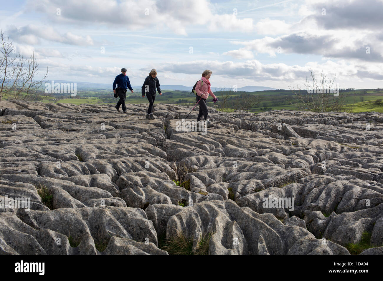 Limestone pavement ing scar hi-res stock photography and images - Alamy