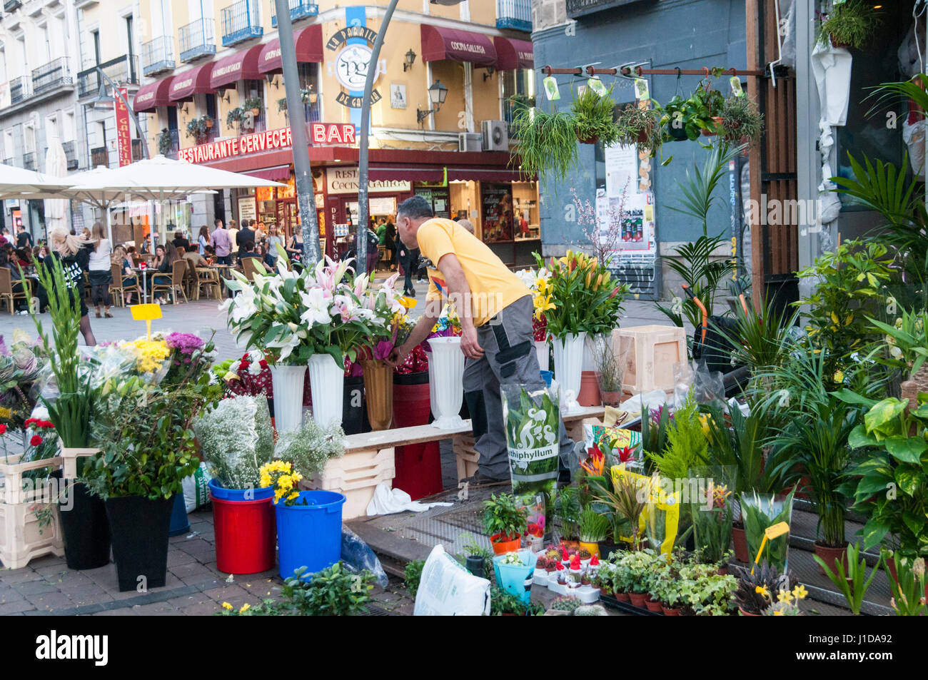 Flower market square Plaza de Triso de Molina, Madrid, Spain Stock ...