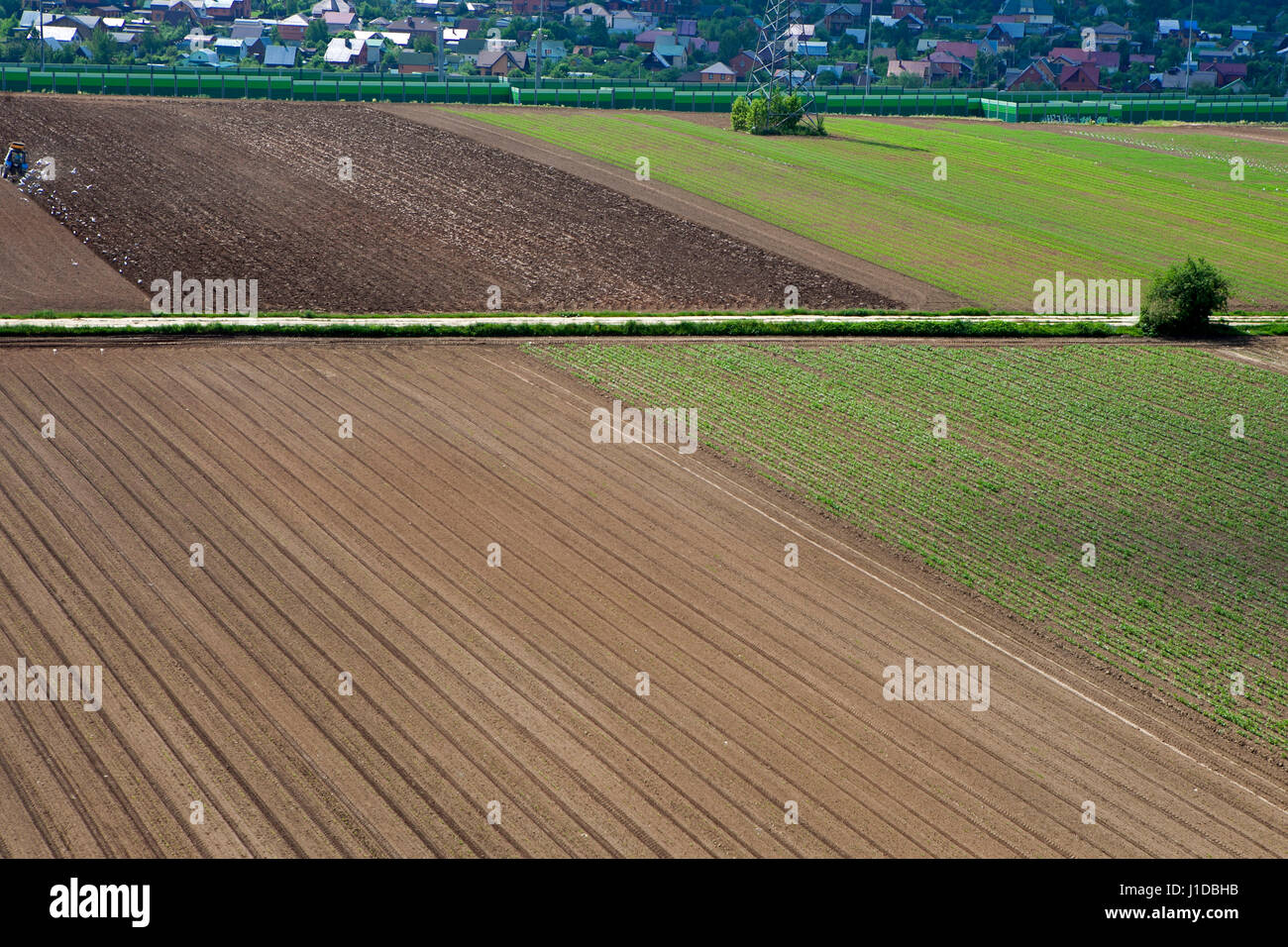 Agriculture - Linear irrigation of an early growth spring crop Stock ...
