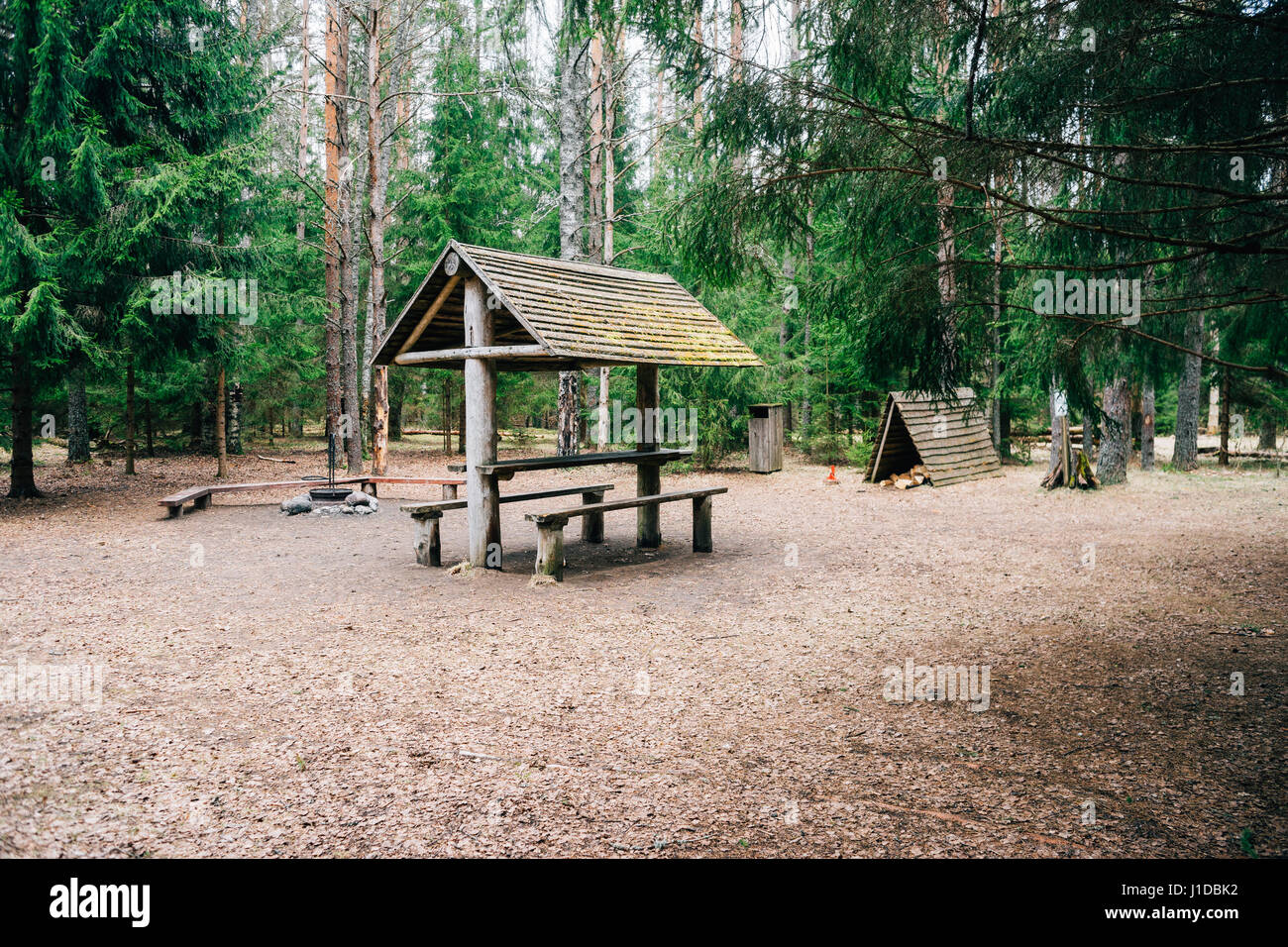 Camping place with wooden table and fireplace in coniferous forest ...
