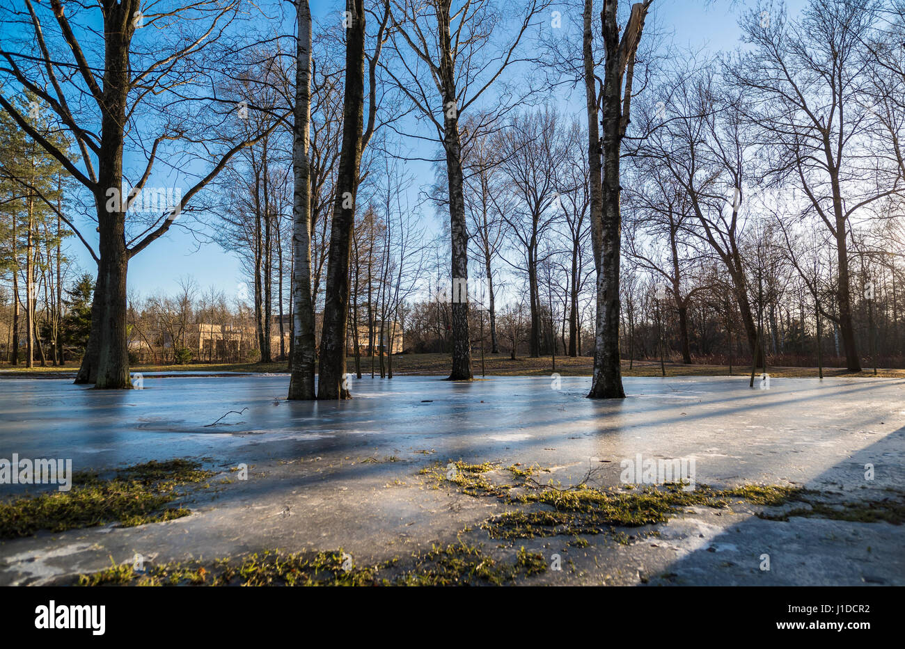 Spring landscape with a bright sun Stock Photo - Alamy
