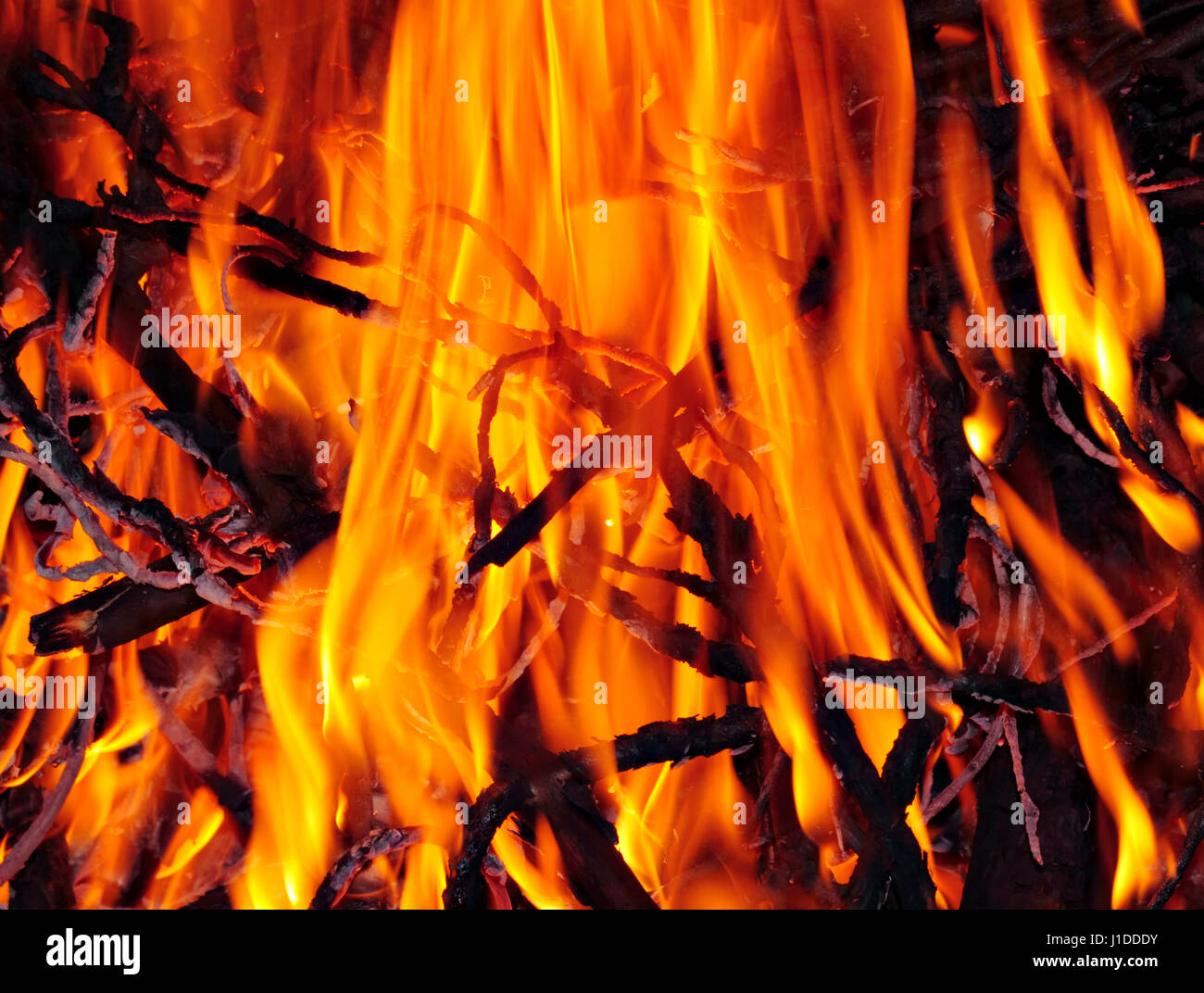 Bonfire close up with flames, charred wood and ash Stock Photo - Alamy