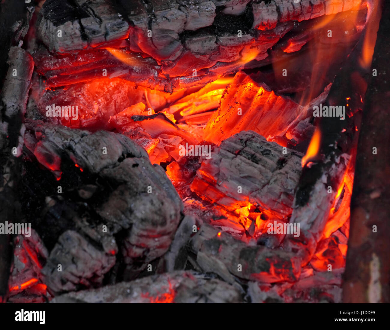 Bonfire red heat close up with charred wood and ash Stock Photo - Alamy