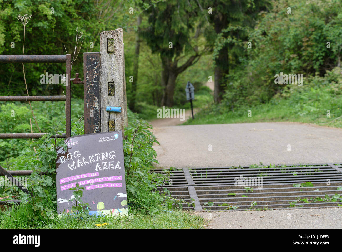 Dog walking area hi-res stock photography and images - Alamy