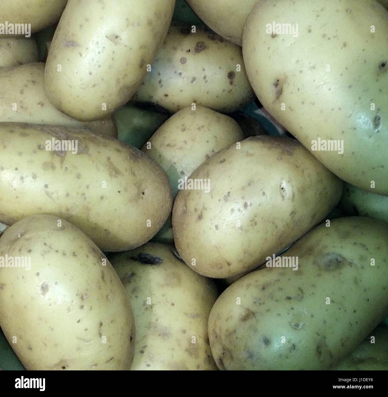 Fresh raw yukon gold potato hi-res stock photography and images - Alamy