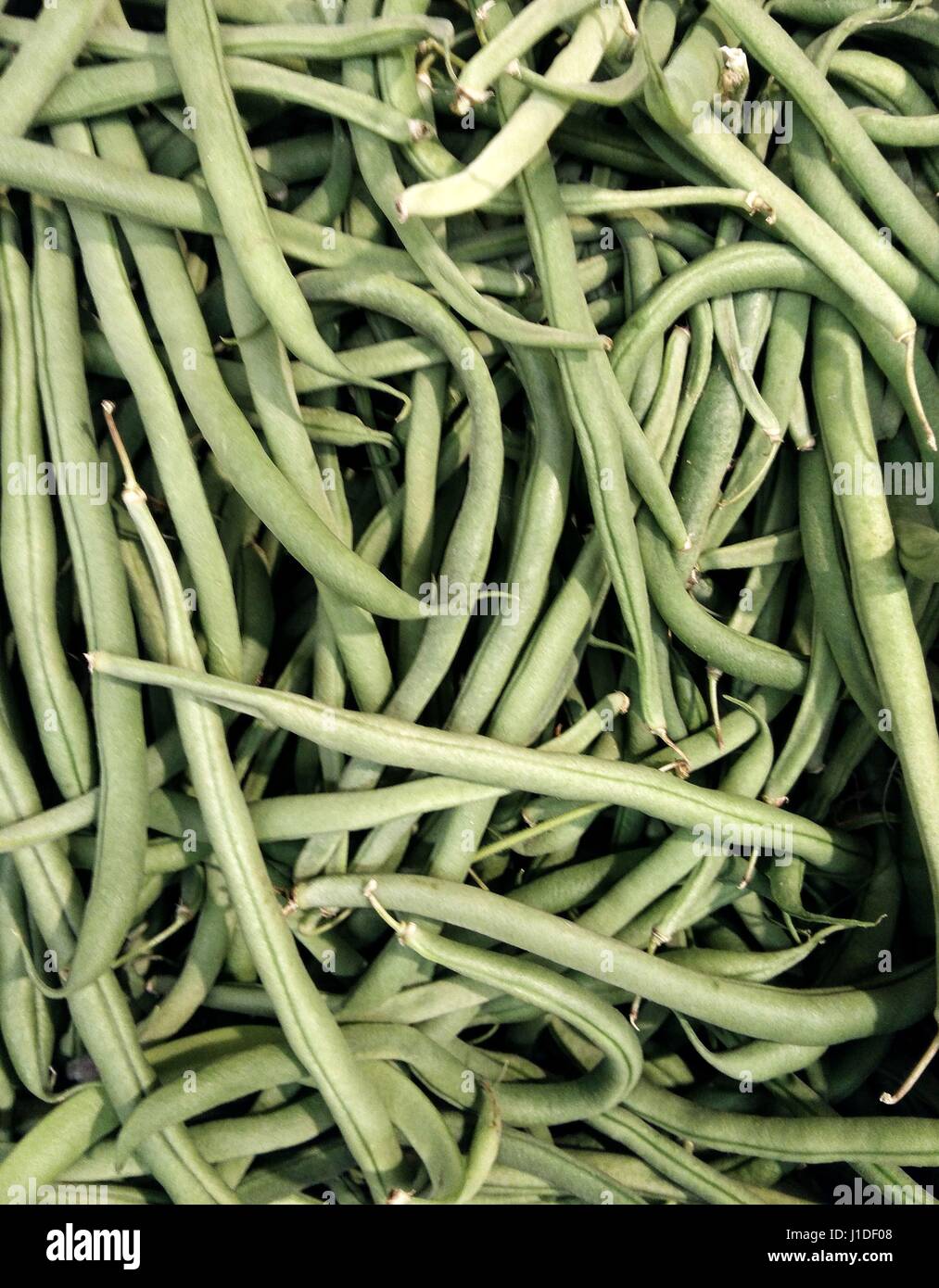 Green bean texture vegetables Stock Photo - Alamy