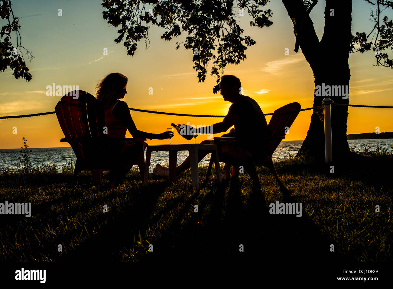 People Drinking Wine Silhouette