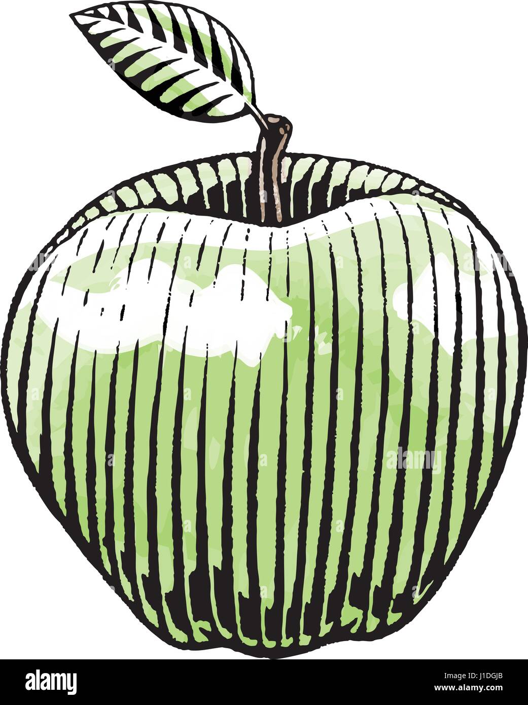 Vector Illustration of a Scratchboard Style Ink and Watercolor Drawing ...