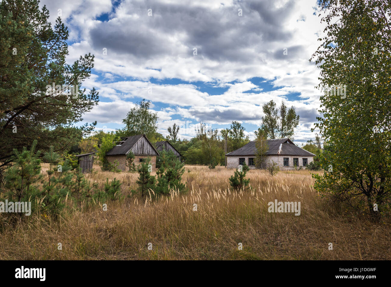 Old farm buildings in Mashevo abandoned village of Chernobyl Nuclear ...