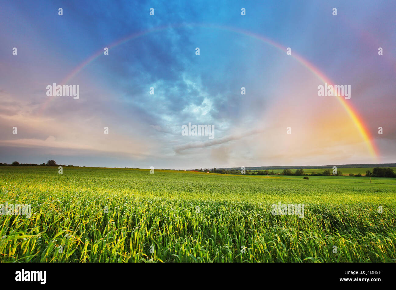 Rainbow over spring field Stock Photo - Alamy