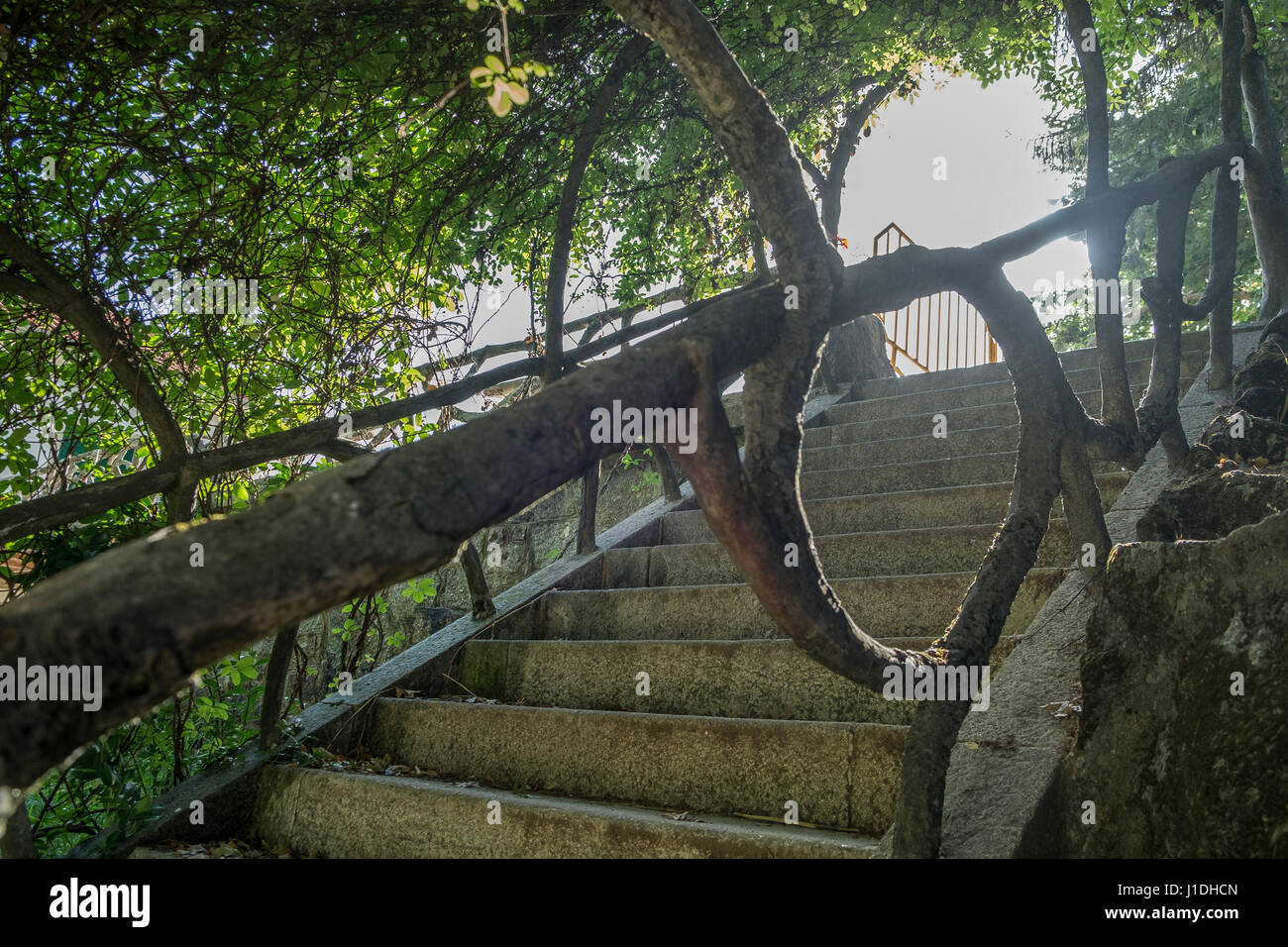 Medieval stone stairs Stock Photo - Alamy