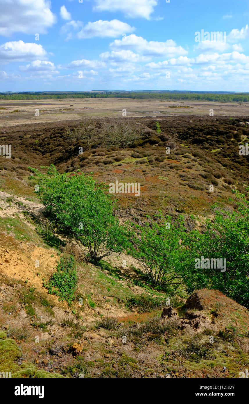 Grimston norfolk hi-res stock photography and images - Alamy