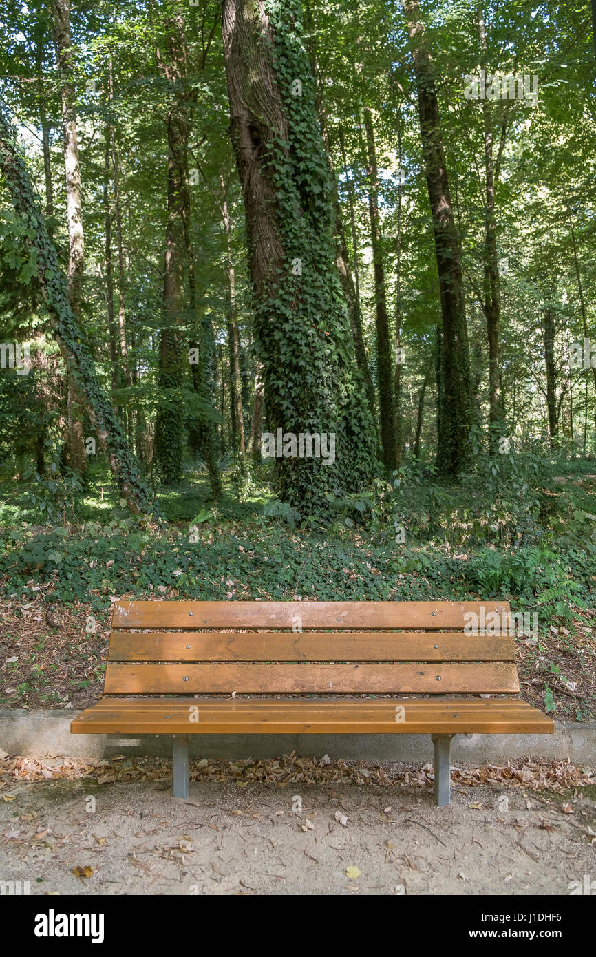 Wooden bench in the forest Stock Photo - Alamy