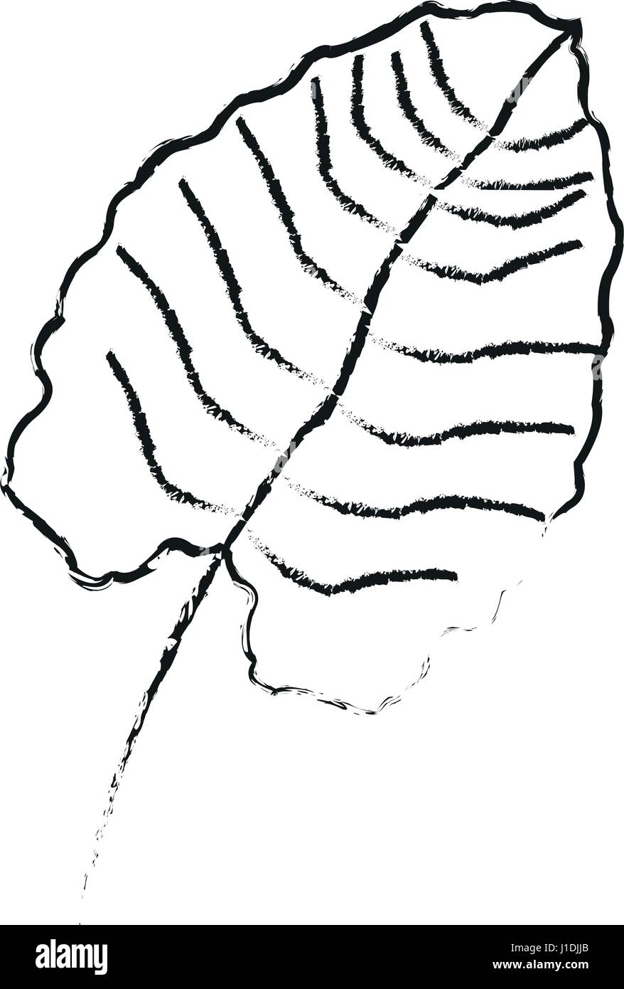 single leaf icon image Stock Vector Image & Art - Alamy