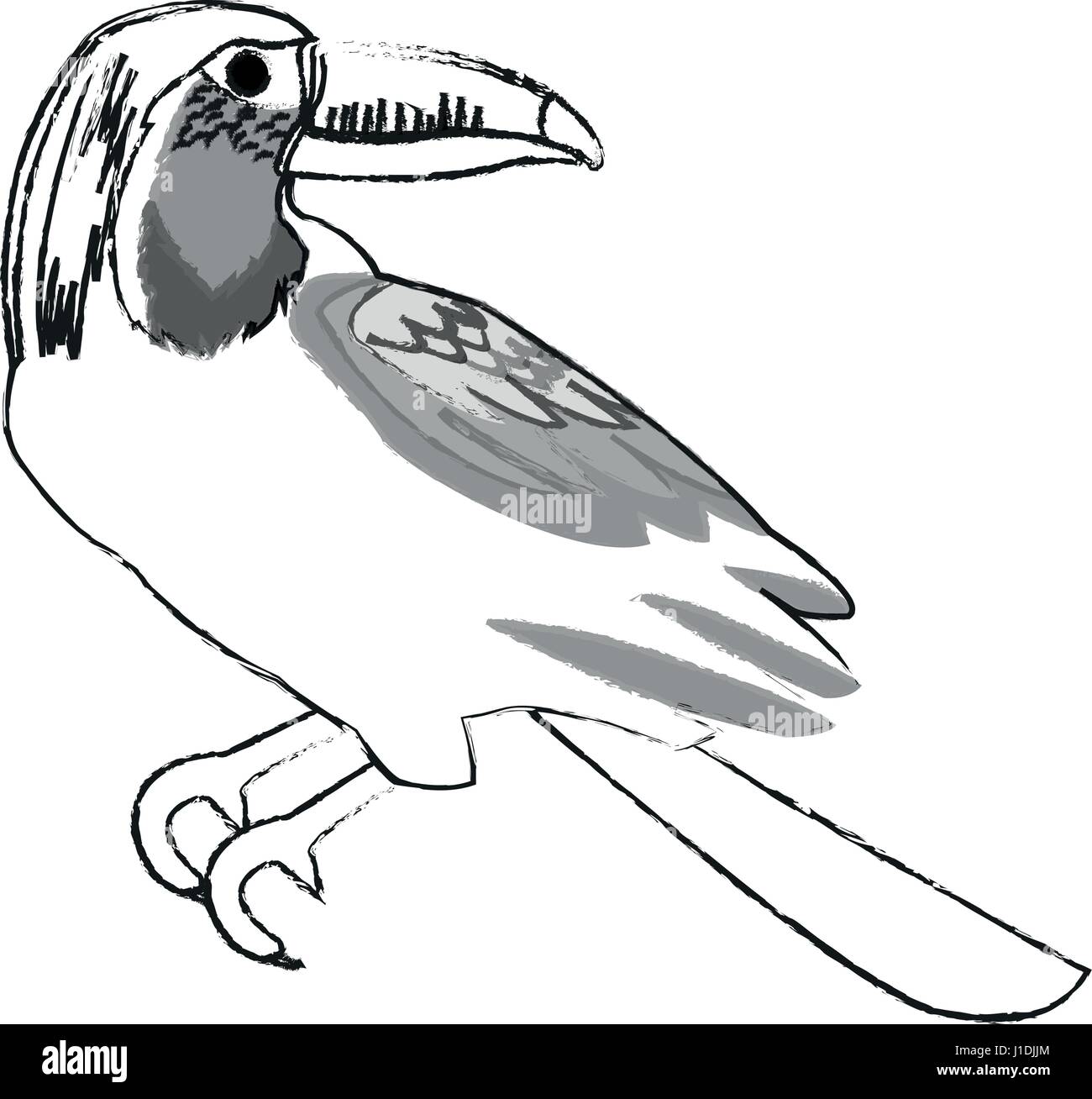 tropical bird icon image Stock Vector Image & Art - Alamy